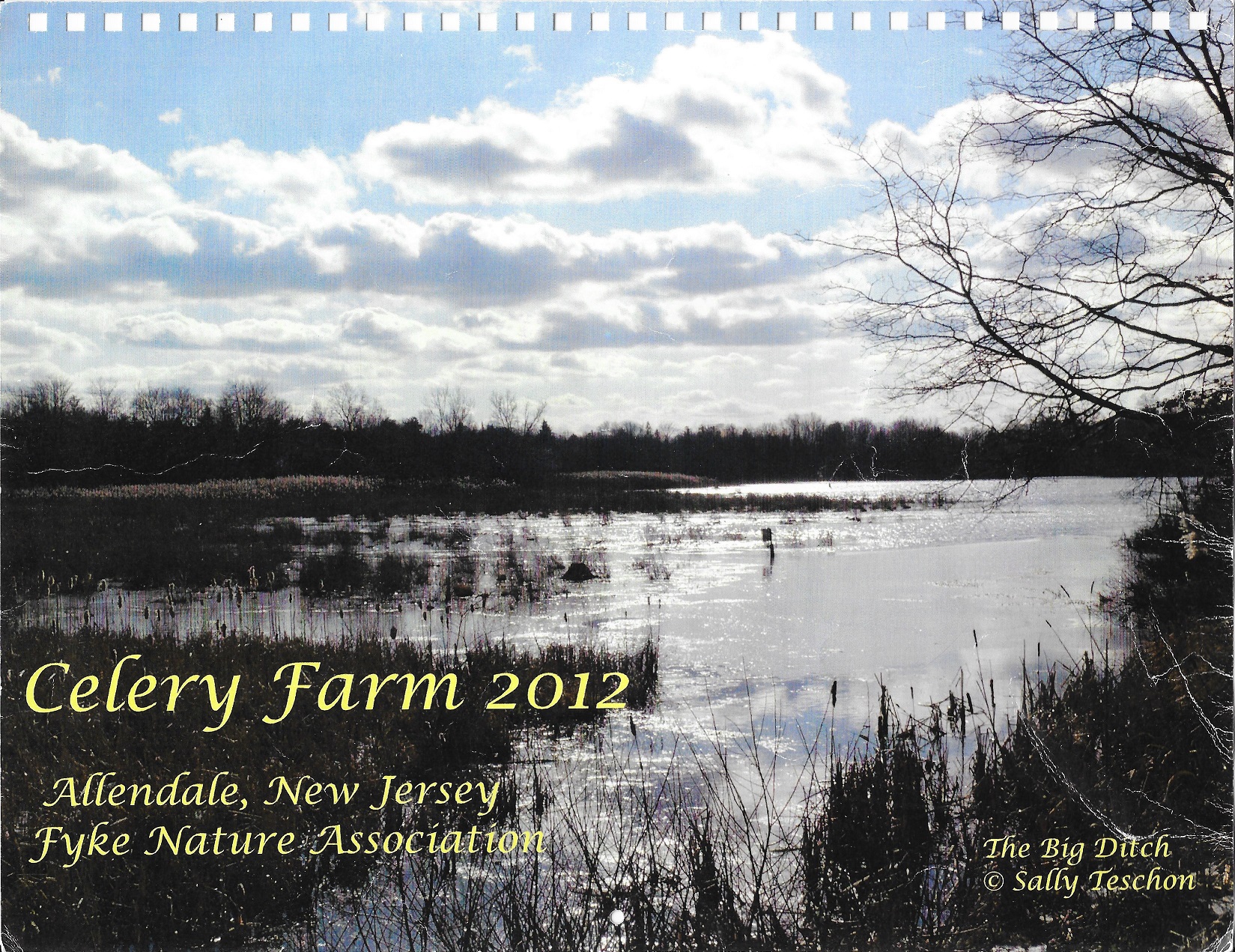 The Fyke Nature Association Calendar Gallery